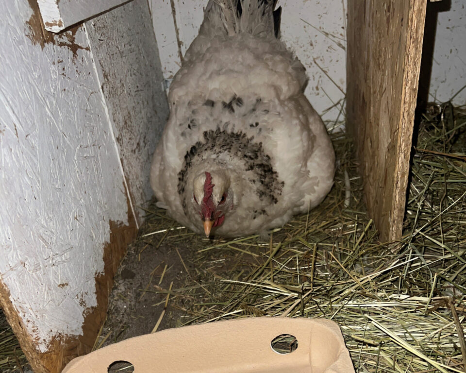 Top Nachrichten | Stadt St. Ingbert